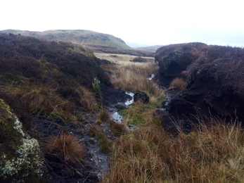 Shap Fells Peatland Restoration | Cumbria Wildlife Trust