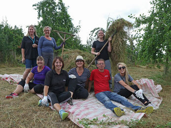 Wild Work Days | Cumbria Wildlife Trust