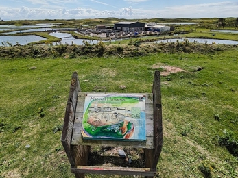Salt works, shingle and seals at South Walney | Cumbria Wildlife Trust