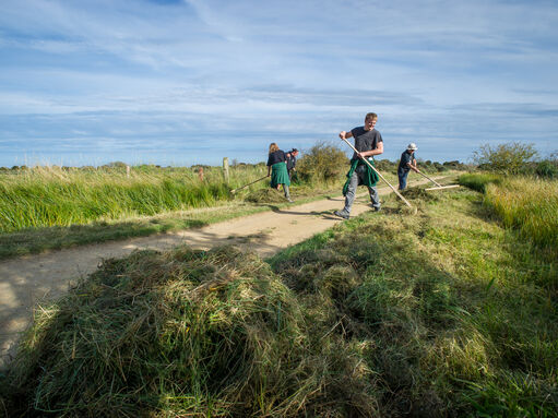 Wild Work Days | Cumbria Wildlife Trust