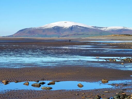 The Earnse Project | Cumbria Wildlife Trust