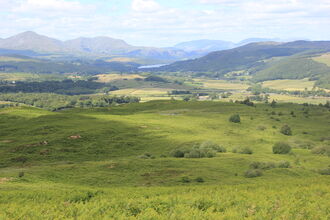 Lowick Common | Cumbria Wildlife Trust