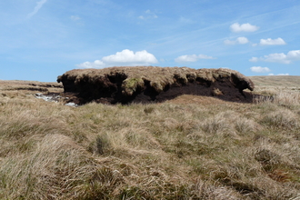 Peatland restoration in Cumbria | Cumbria Wildlife Trust