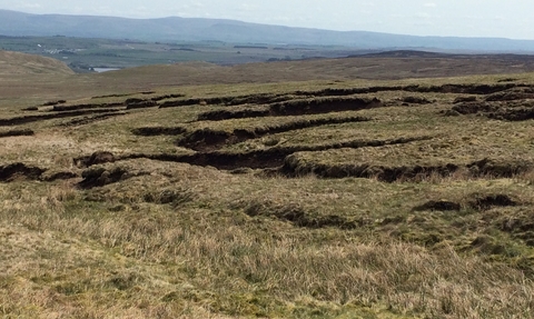 Shap Fells peatland restoration | Cumbria Wildlife Trust