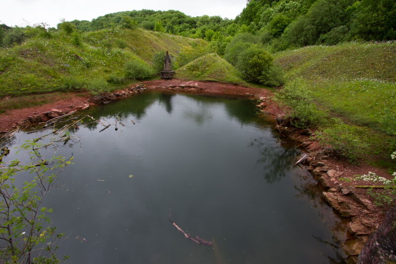 A Secret Garden: Clints Quarry | Cumbria Wildlife Trust