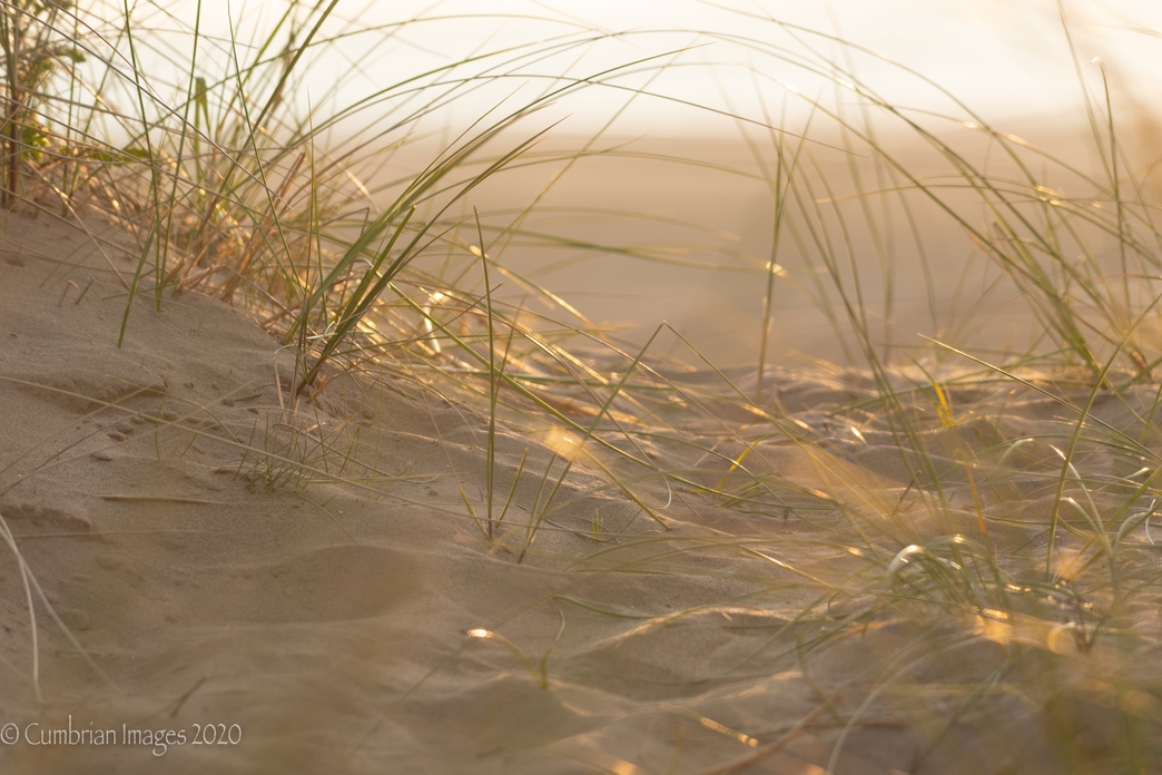 Roanhead Farm development risks irreparable harm to nature | Cumbria ...