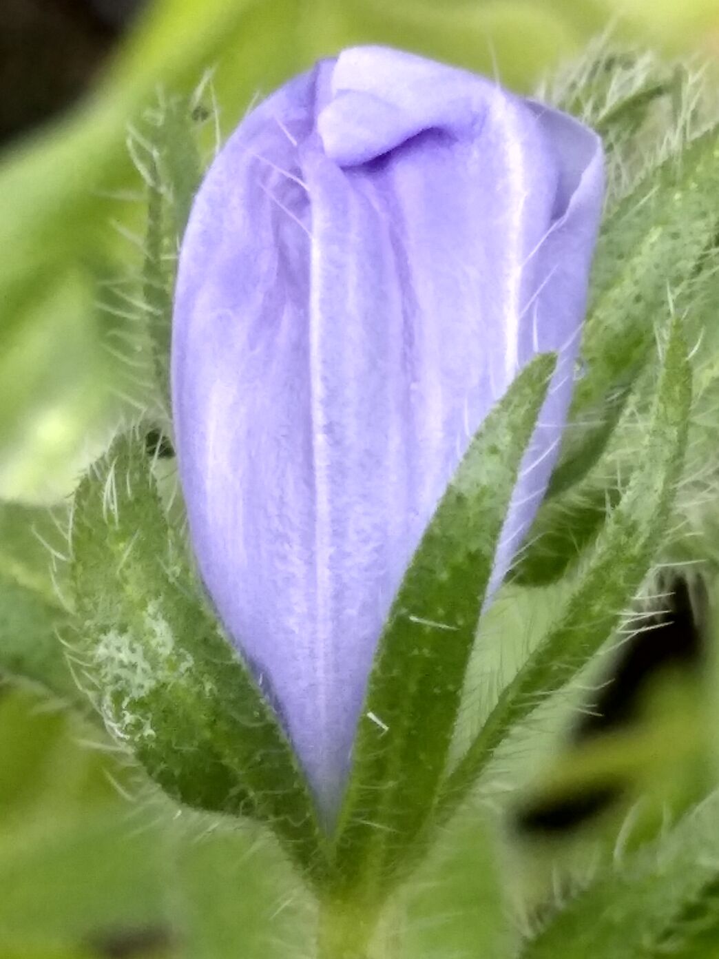 Composting at home | Cumbria Wildlife Trust