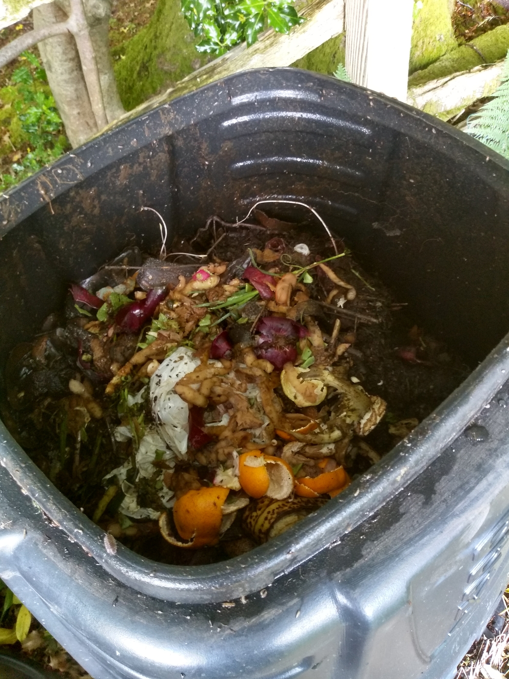 Composting at home | Cumbria Wildlife Trust