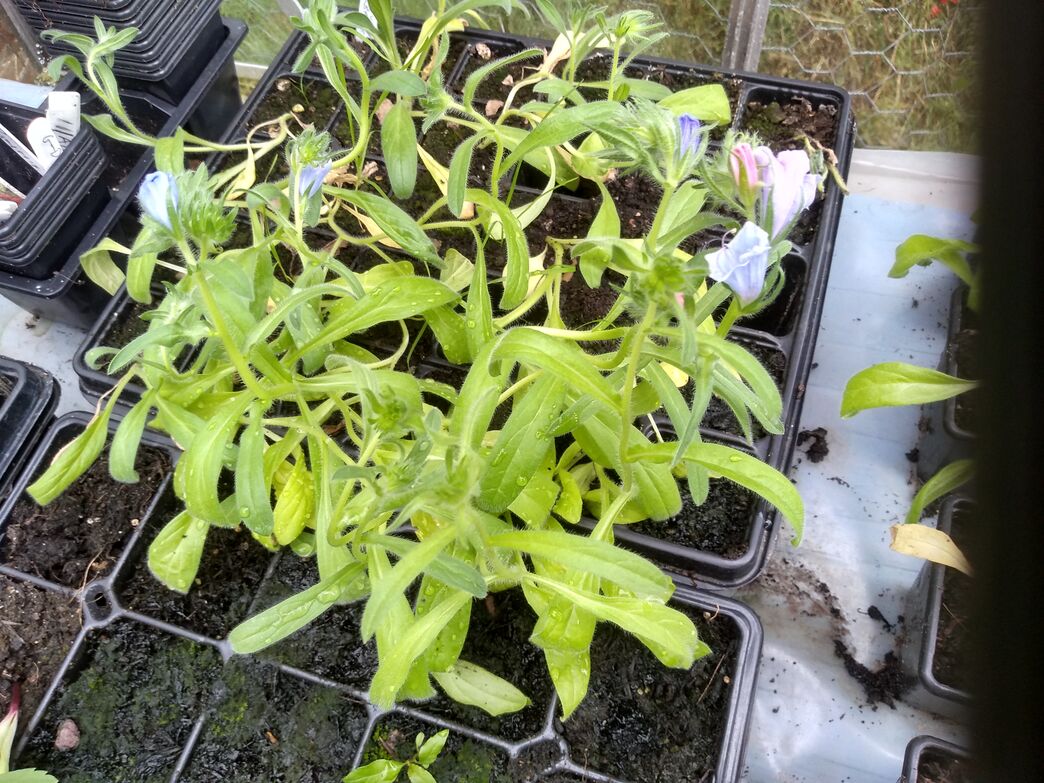 Composting at home | Cumbria Wildlife Trust