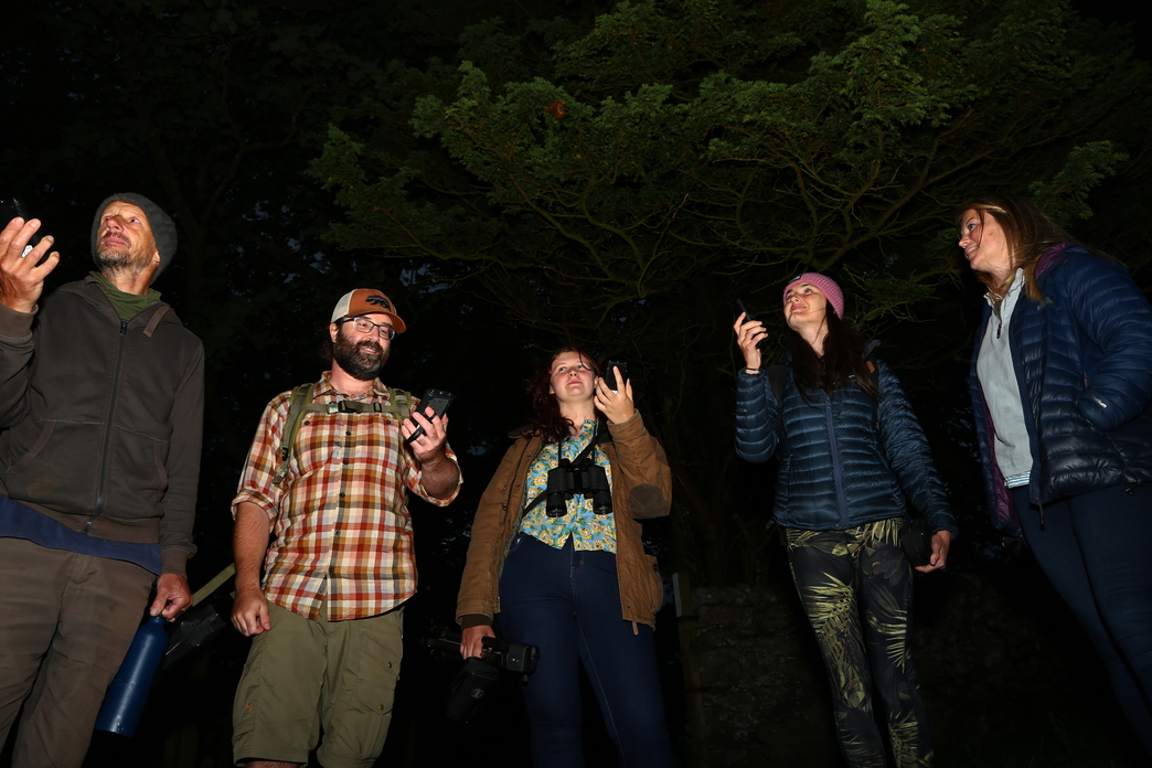 Night-time wildlife adventure | Cumbria Wildlife Trust