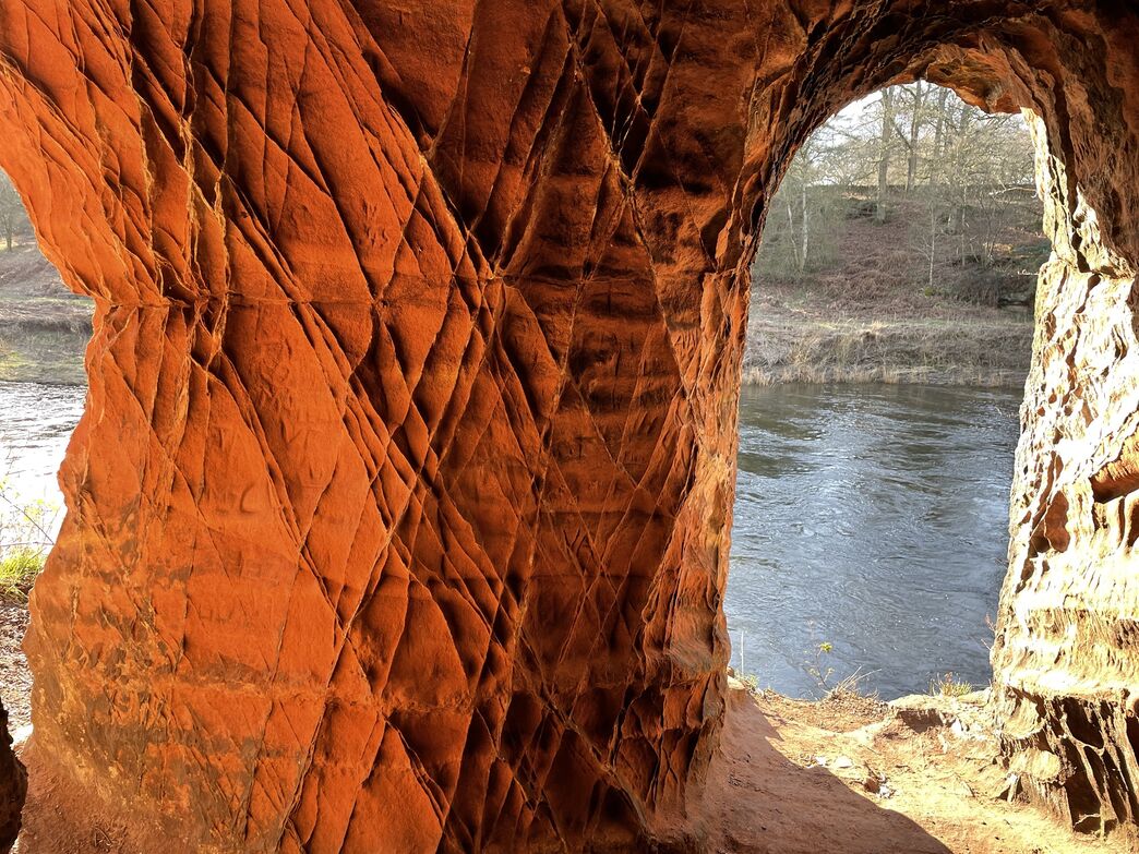 Discover the Cumbria hiding beneath your feet | Cumbria Wildlife Trust