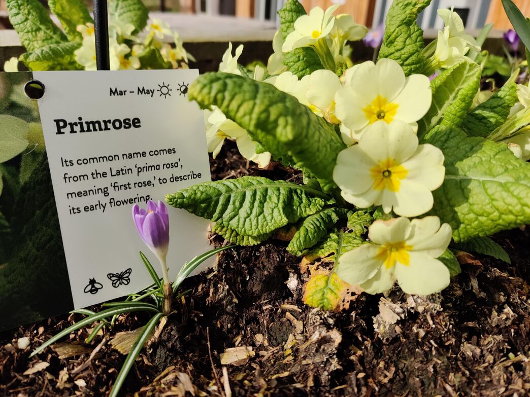Our Spring Wildlife Festival is a celebration of gardening and ...