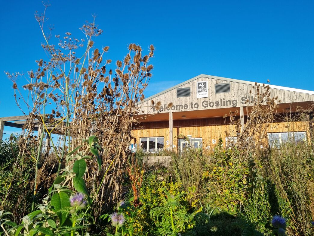 Our Spring Wildlife Festival is a celebration of gardening and ...