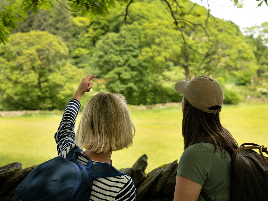 Lost rainforest discovery | Cumbria Wildlife Trust