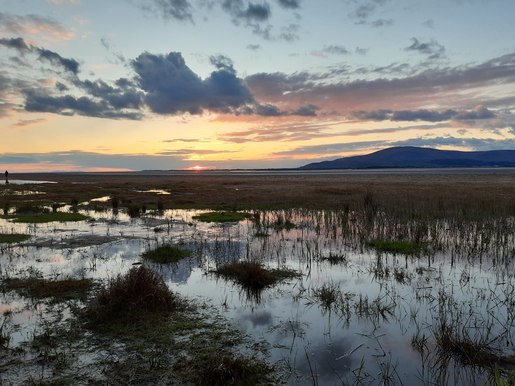 Roanhead Farm development risks irreparable harm to nature | Cumbria ...