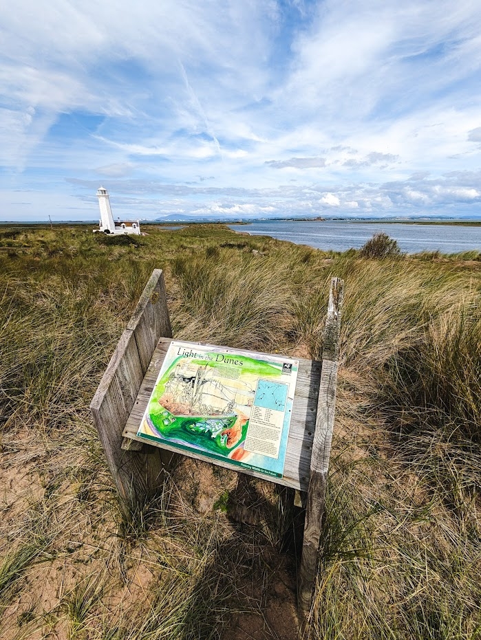 Salt works, shingle and seals at South Walney | Cumbria Wildlife Trust