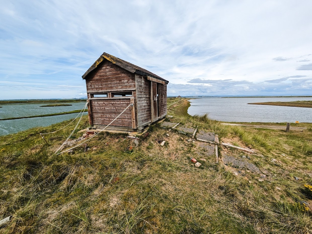 Salt works, shingle and seals at South Walney | Cumbria Wildlife Trust