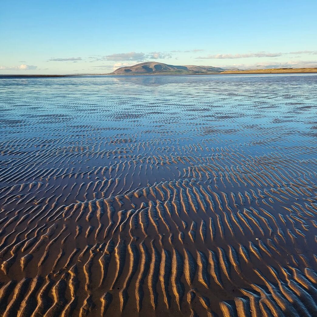 The Earnse Project | Cumbria Wildlife Trust