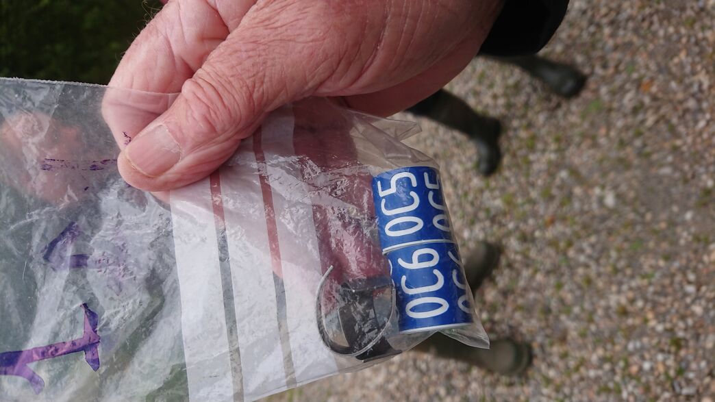 Ringing 2024 | Cumbria Wildlife Trust