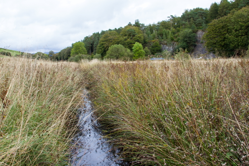 Unspoilt Wilderness: Burns Beck Moss | Cumbria Wildlife Trust