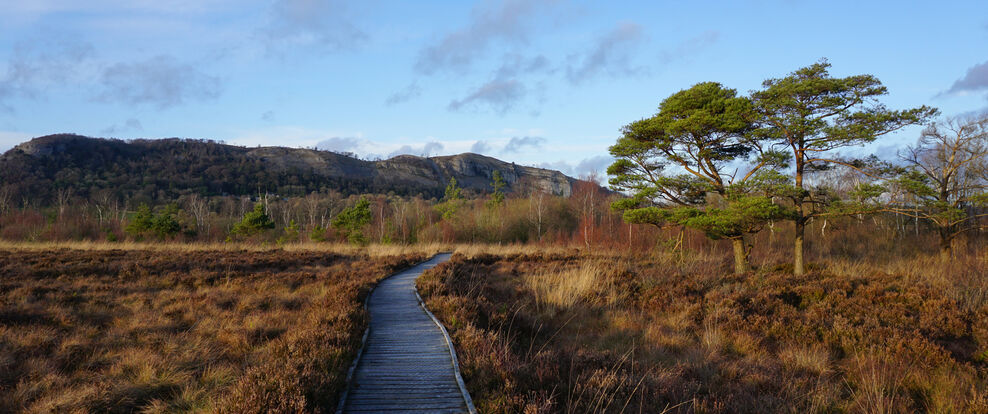 Student Placement Vicky Slugocki | Cumbria Wildlife Trust