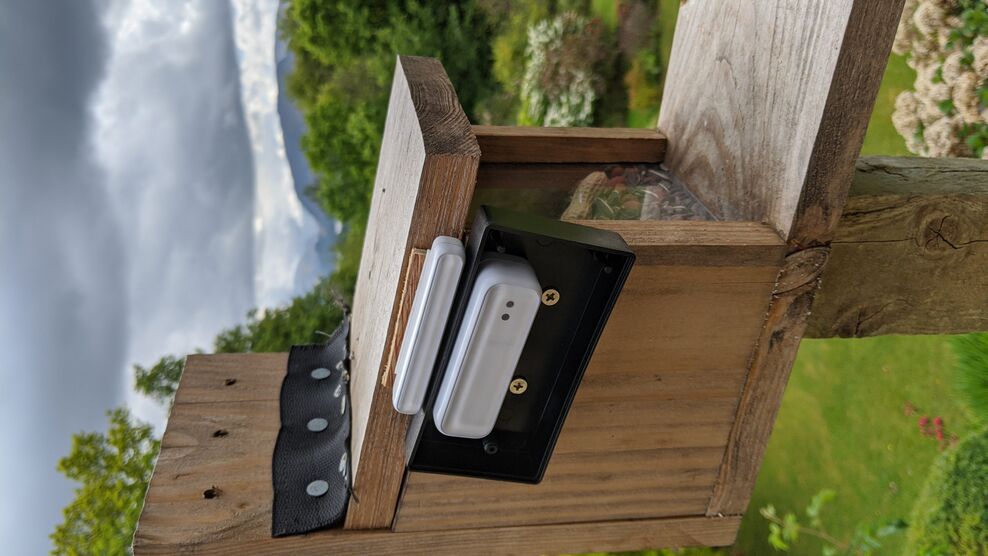 Red squirrel feeder sensor | Cumbria Wildlife Trust