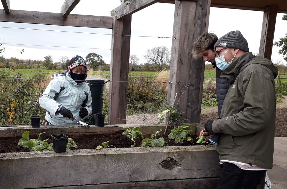 Volunteers at Gosling Sike | Cumbria Wildlife Trust
