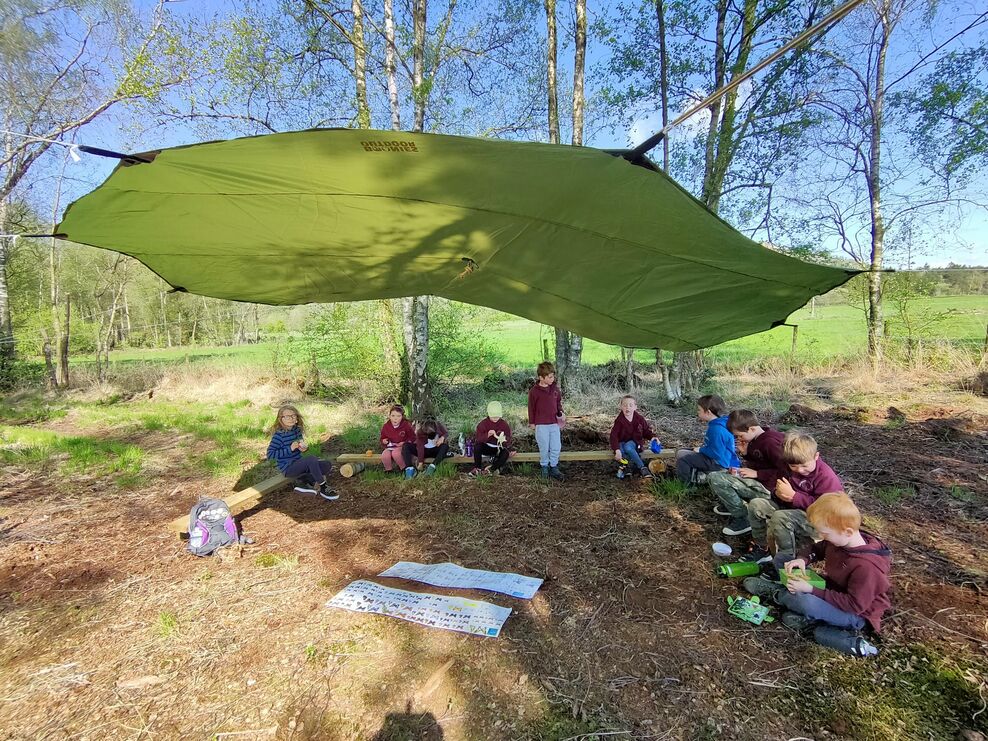 Educational visits to Witherslack Wetlands | Foulshaw Moss, Meathop ...
