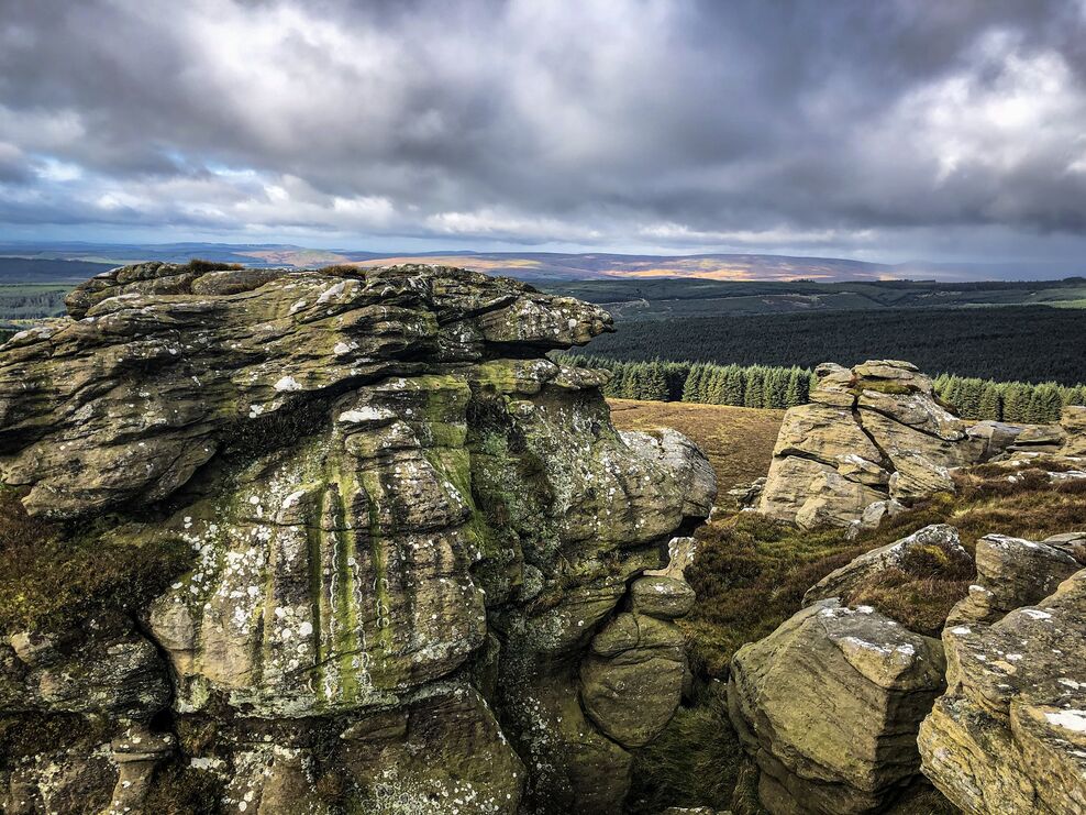 Discover the Cumbria hiding beneath your feet | Cumbria Wildlife Trust