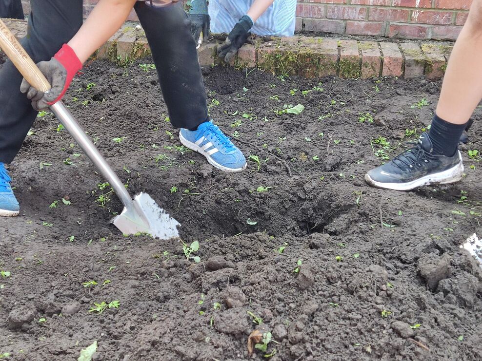 Brook Street Primary School planter | Case study | Cumbria Wildlife Trust