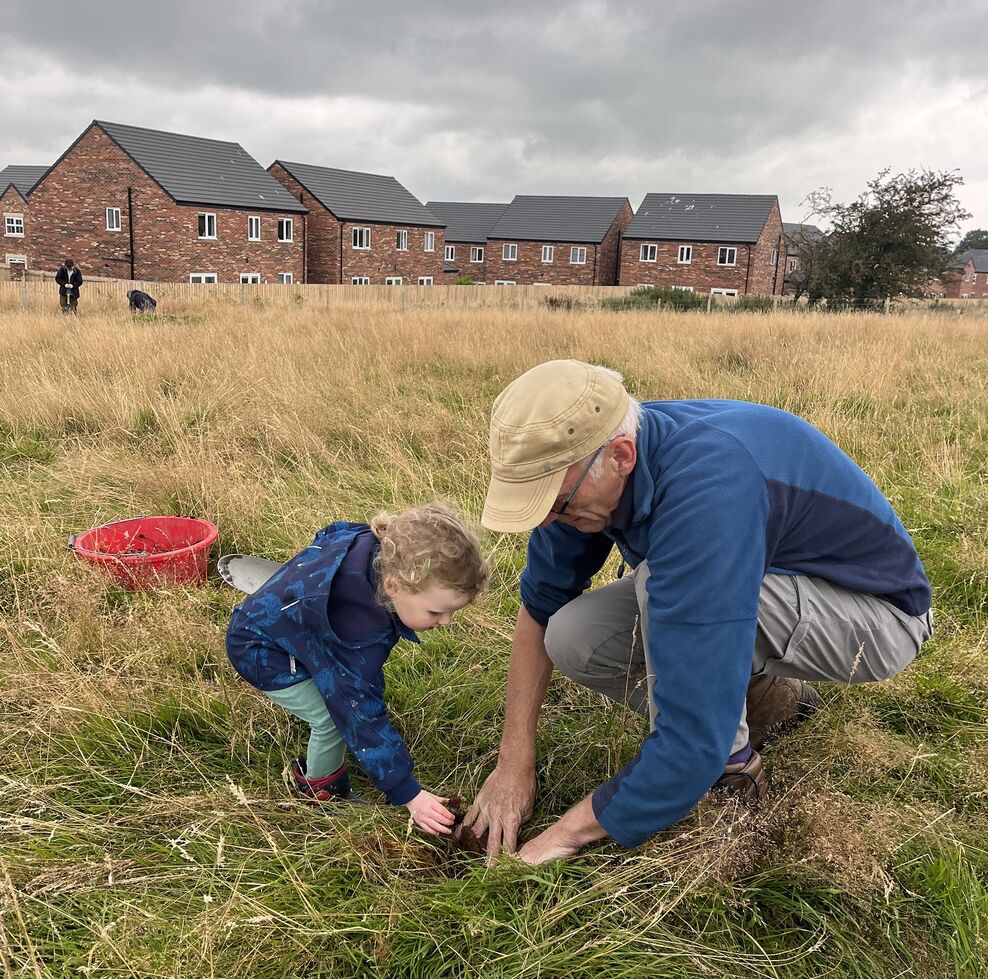 Cold Springs Community Nature Reserve | Cumbria Wildlife Trust