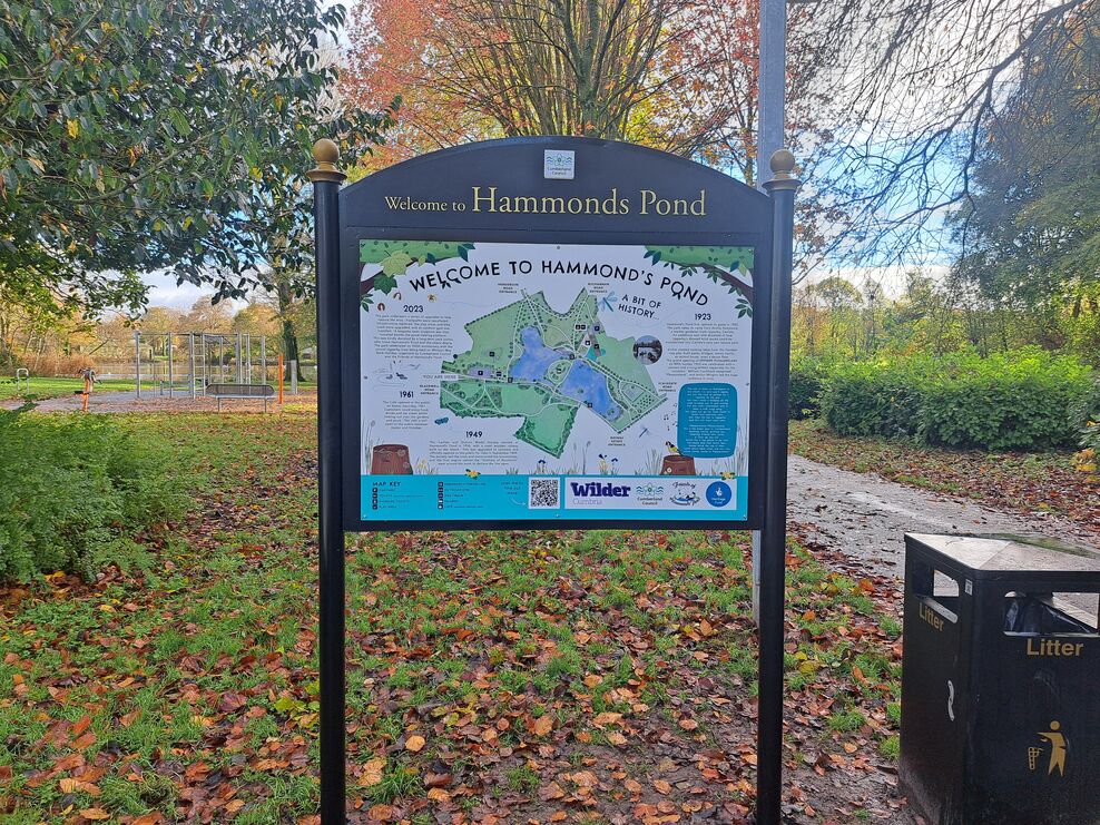 Hammond's Pond information boards | Case study | Cumbria Wildlife Trust