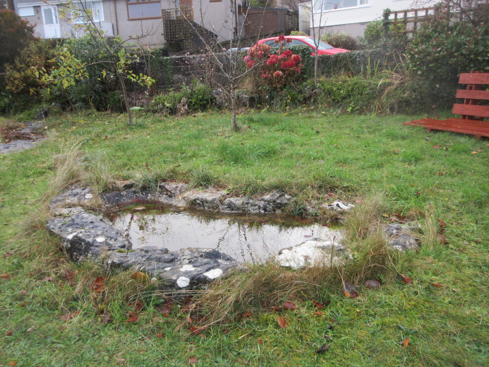 Life in a small garden pond | Cumbria Wildlife Trust