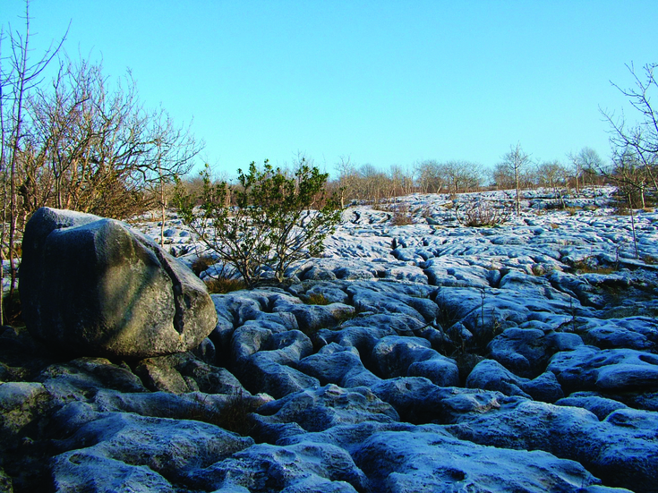 Hutton Roof Crags | Cumbria Wildlife Trust