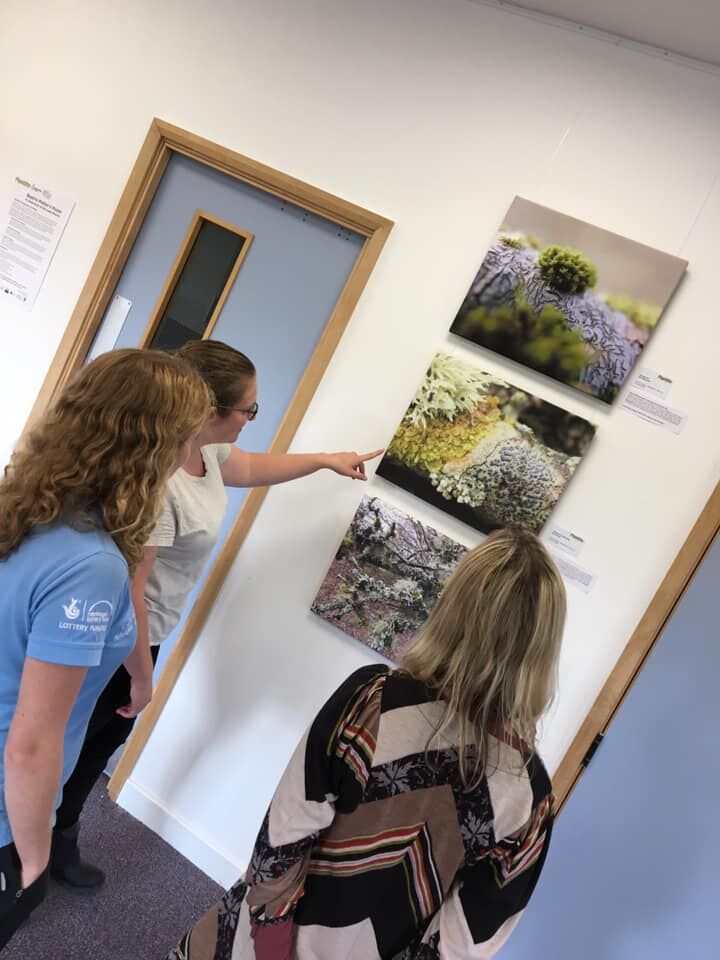 Plantlife Photography Exhibition now open at Gosling Sike | Cumbria ...
