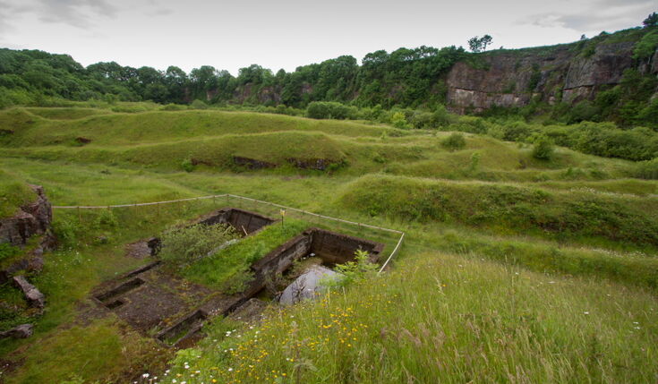 A Secret Garden: Clints Quarry | Cumbria Wildlife Trust