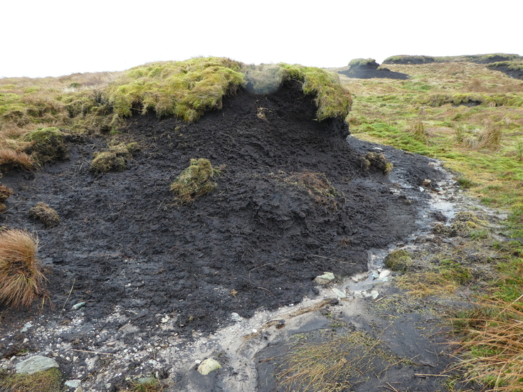 Shap Fells Peatland Restoration | Cumbria Wildlife Trust