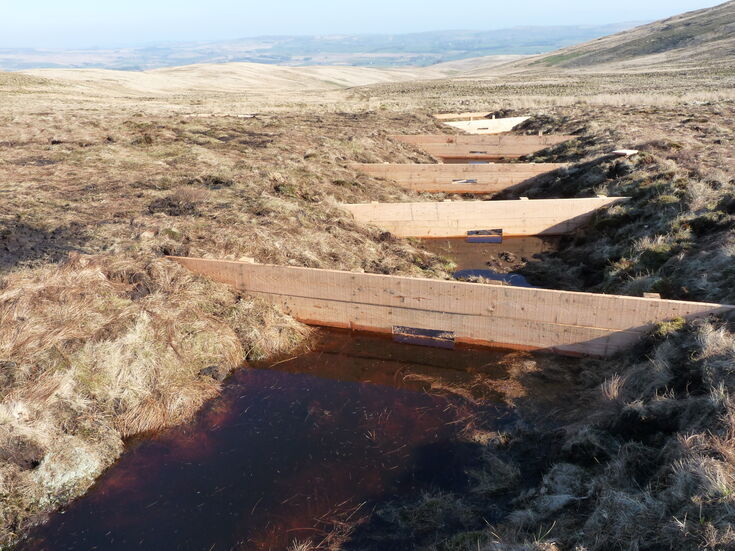 Tebay Common Peatland Restoration | Cumbria Wildlife Trust