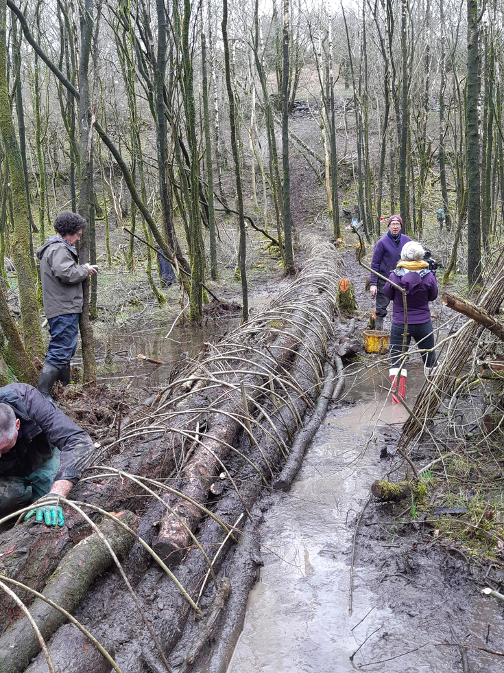Tim Farron MP Visits Natural Flood Defence Scheme | Cumbria Wildlife Trust