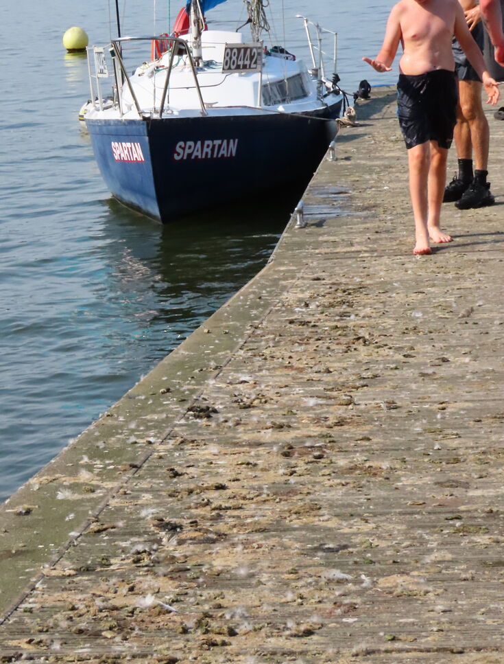 Windermere: an iconic lake in trouble? | Cumbria Wildlife Trust