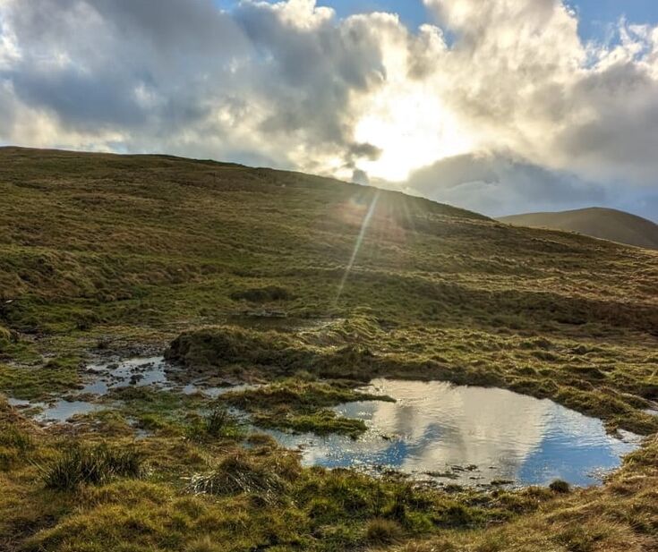 Peatland assistant Grace Fuller learning to give Peat a chance, during ...