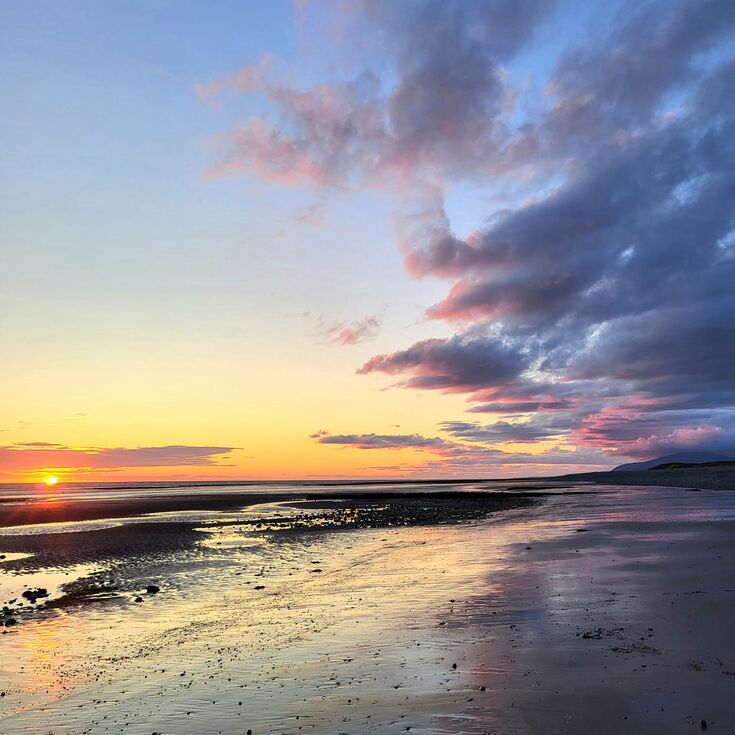 The Earnse Project | Cumbria Wildlife Trust